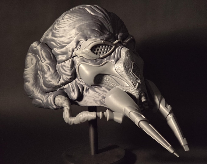 Plo Koon Face Mask - Etsy