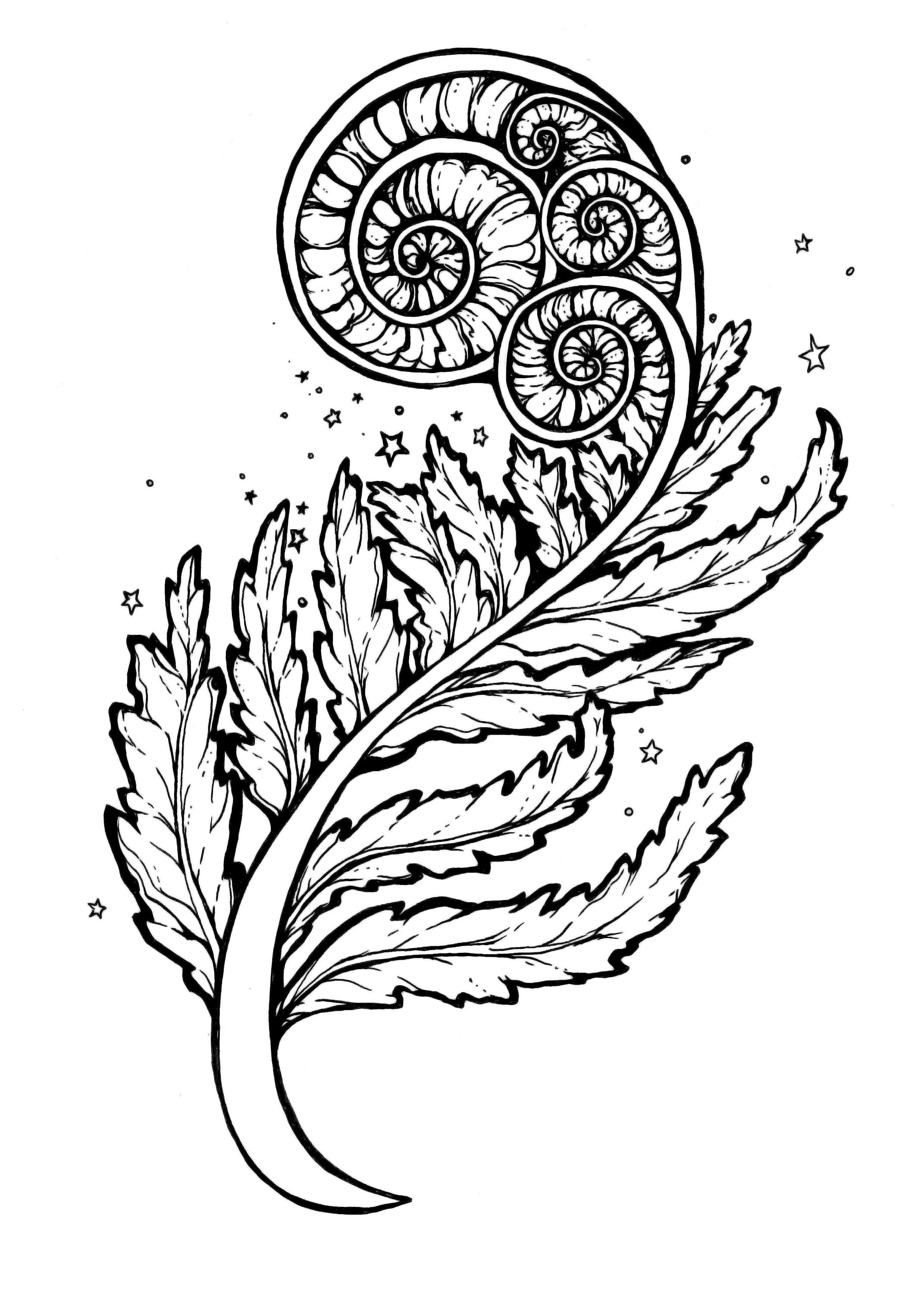 Fiddlehead Fern Art Print Set-unframed Giclee Prints - Gallery Wall ...