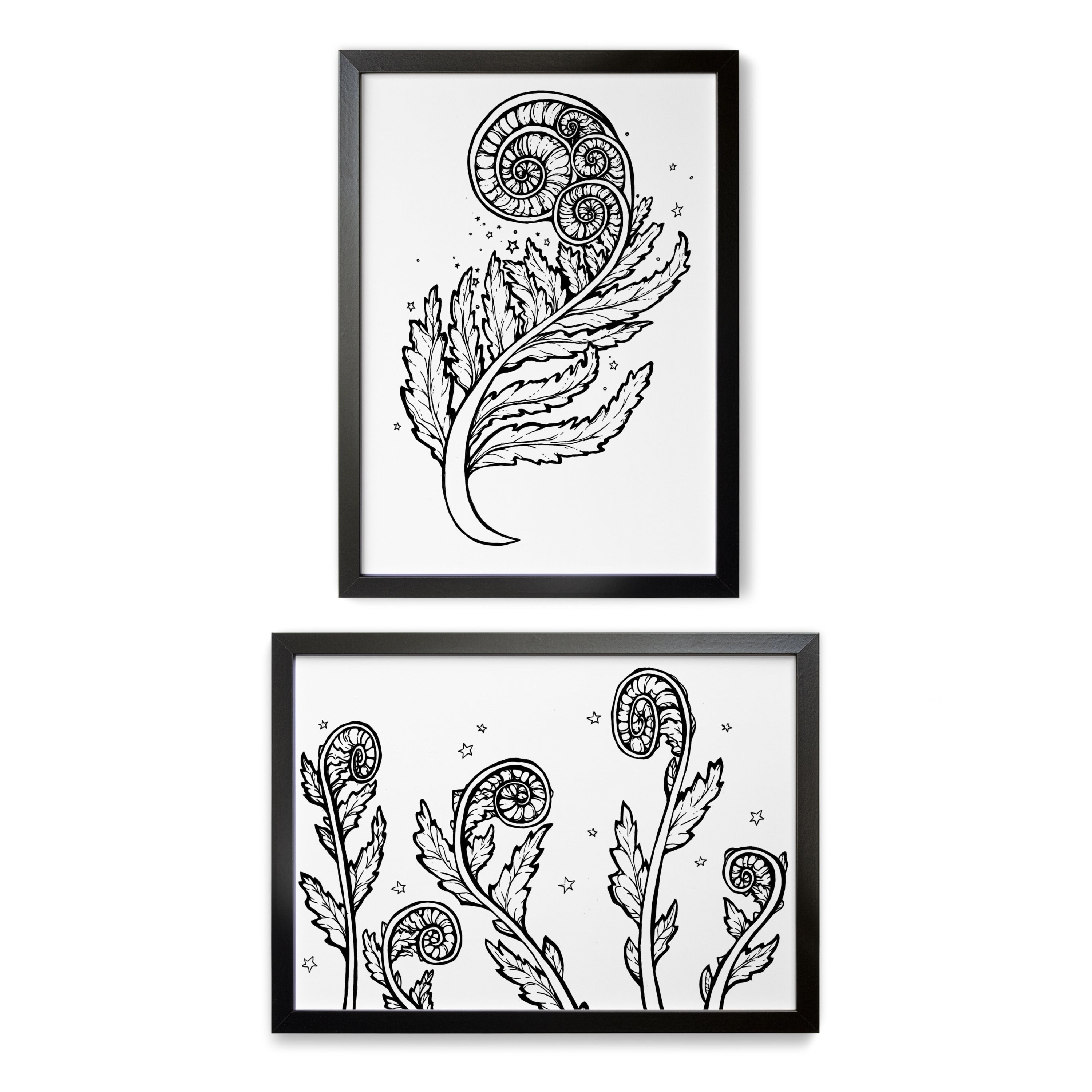 Fiddlehead Fern Art Print Set-unframed Giclee Prints - Gallery Wall - Black and White Pen and ...