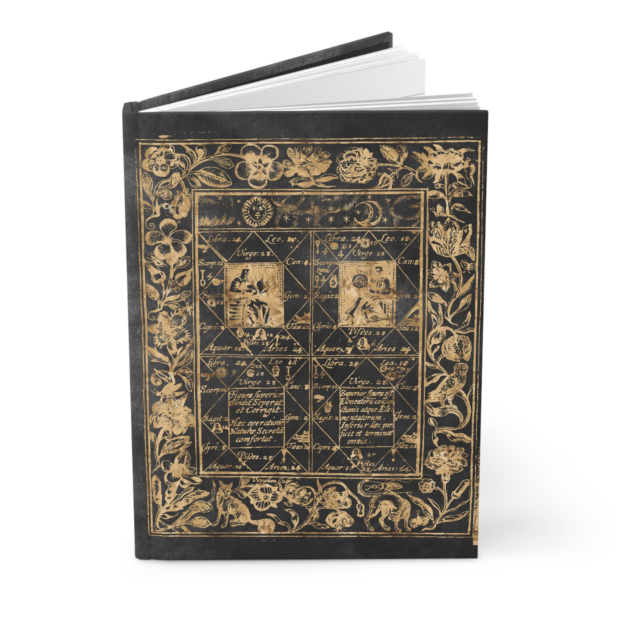 The Alchemist's Note Book Occult Astrology Medieval Journal Renaissance ...