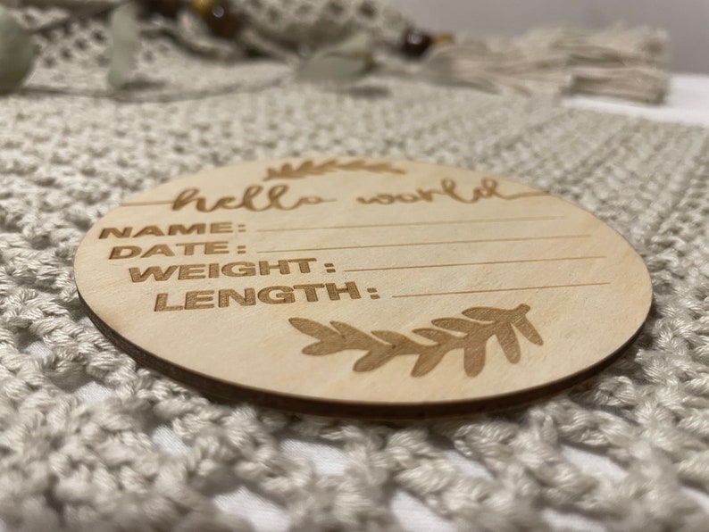 Monthly Milestone and Hello World Photo Prop Discs - Etsy