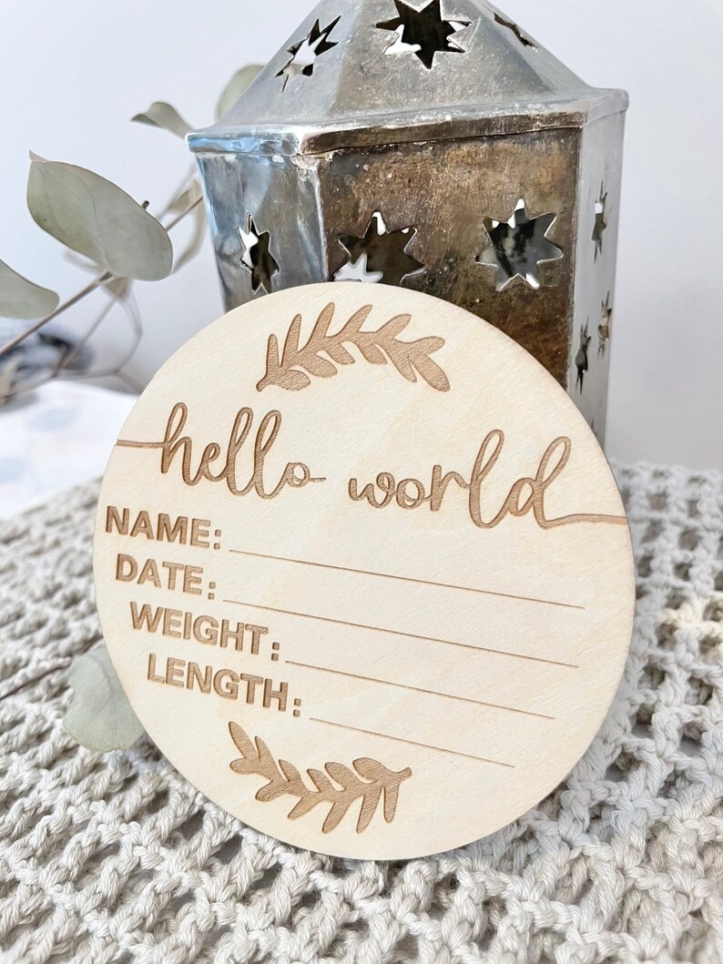 Monthly Milestone and Hello World Photo Prop Discs - Etsy