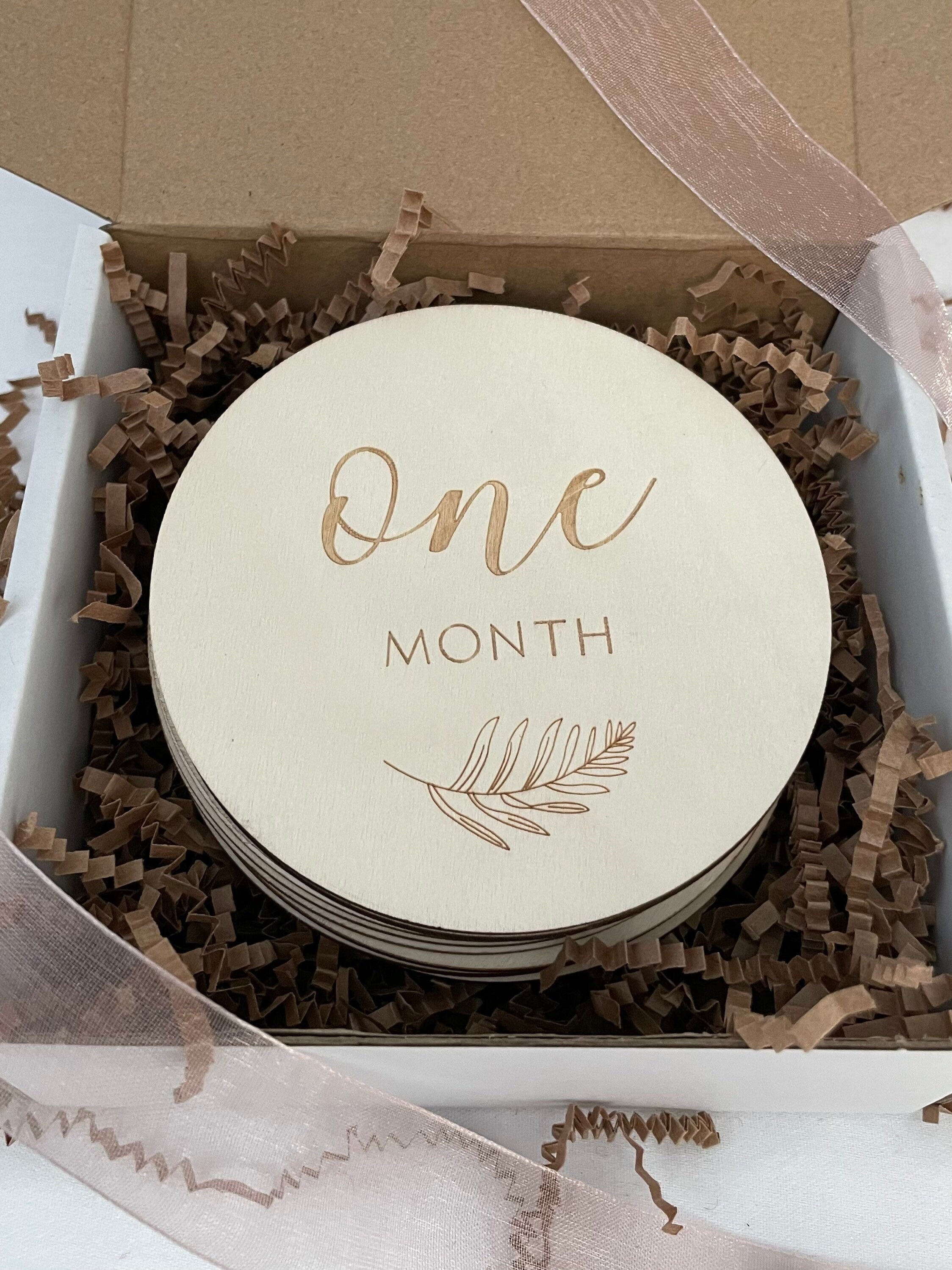 Monthly Milestone and Hello World Photo Prop Discs - Etsy