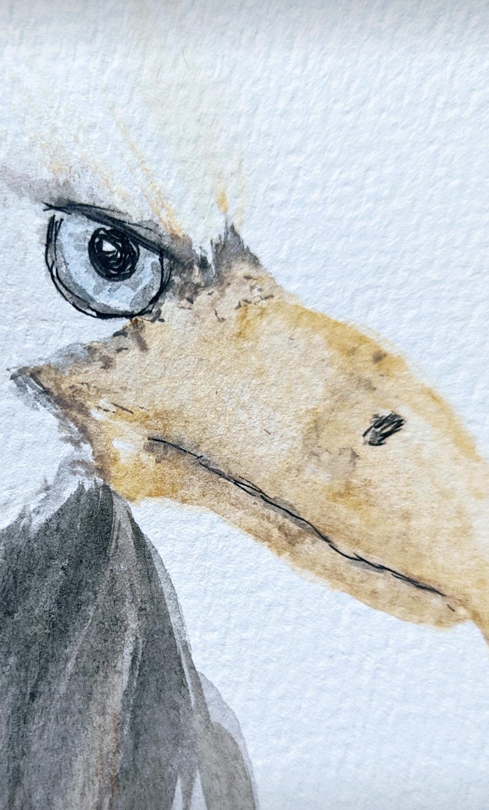 Eagle Watercolor Painting, American Bald Eagle, Original Art, Bird Art ...