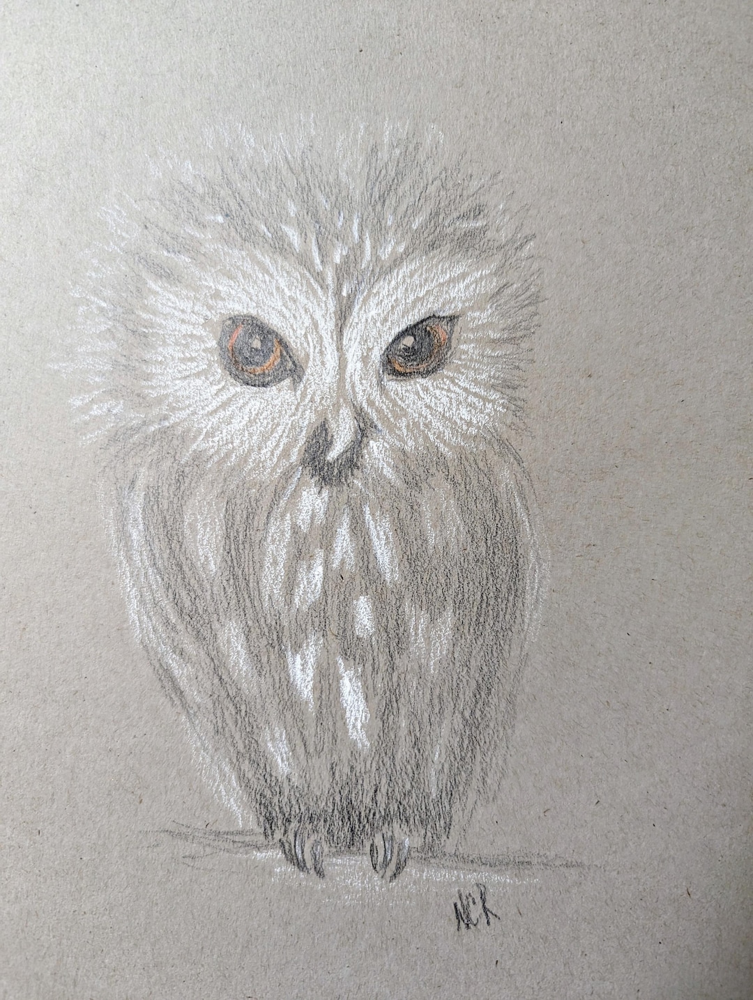 Owl Portrait, Pencil Drawing - Etsy