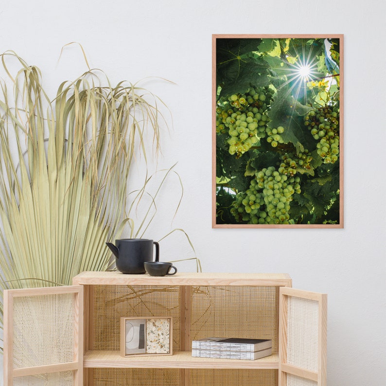 Green Grapes on the Vine at a Portugal Winery (24" X 36" Pictured) - Etsy