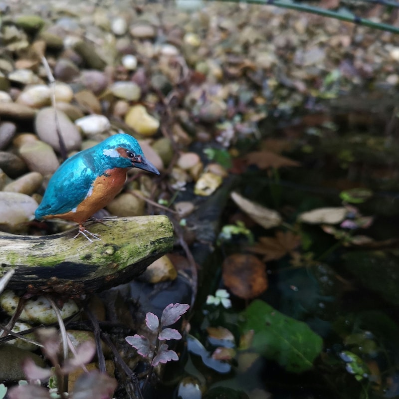 Kingfisher Object - Etsy UK