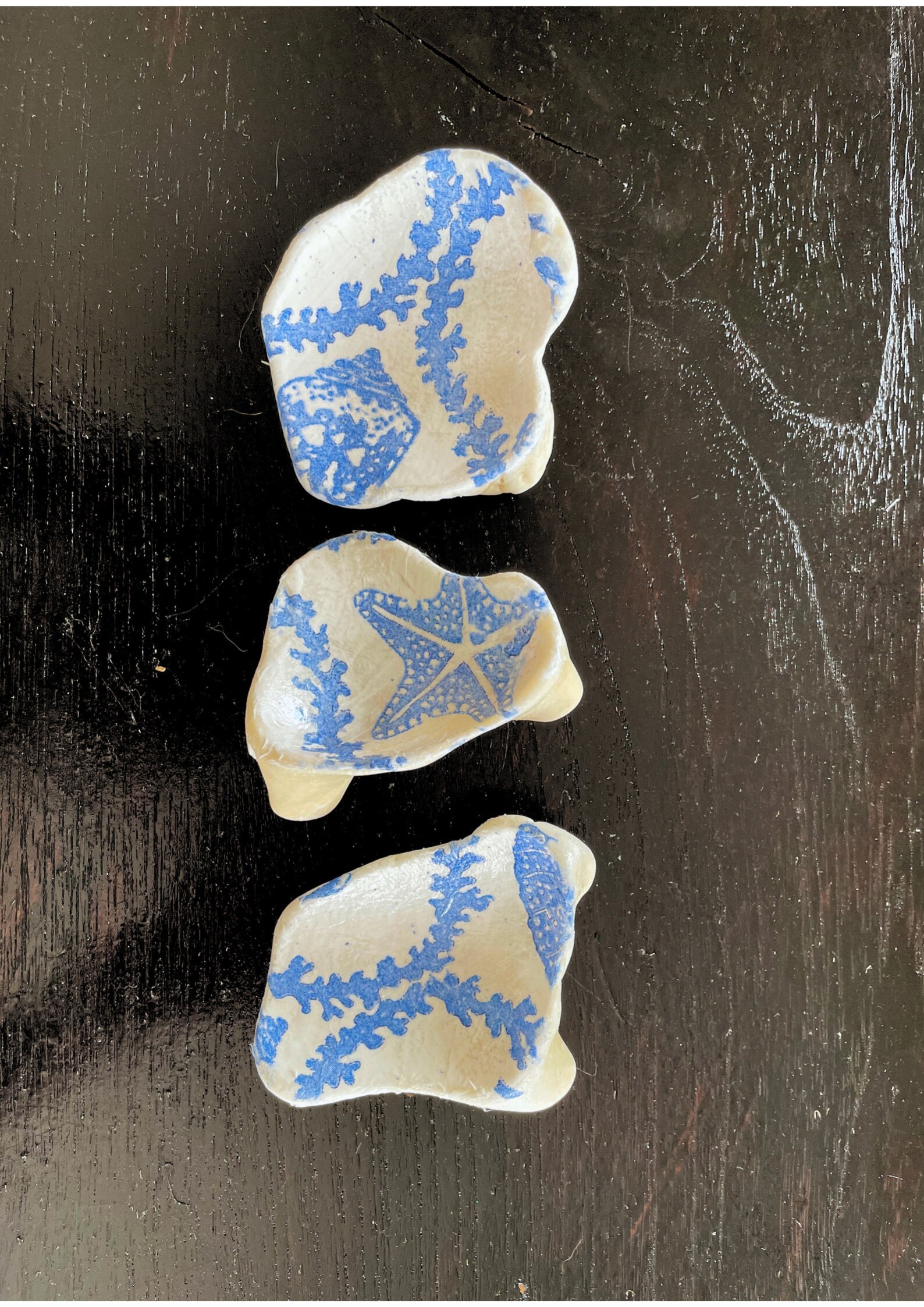Blue Ocean Conch Shell Ring Dish - Etsy