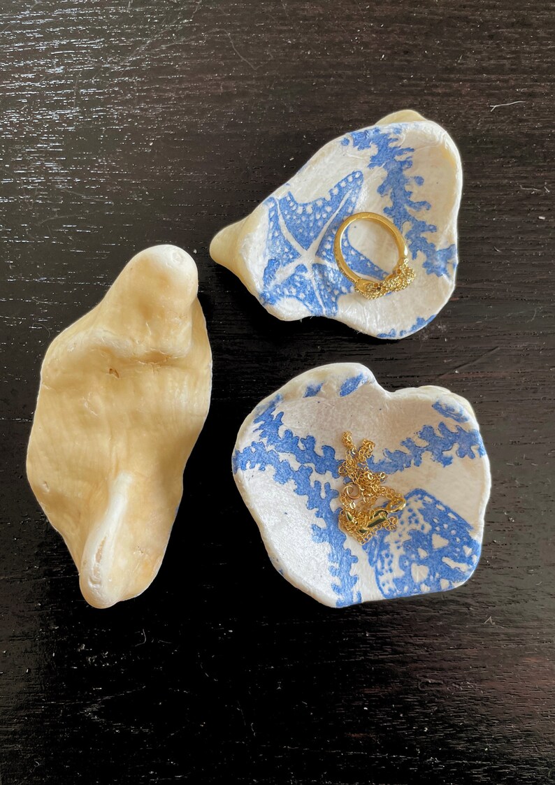 Blue Ocean Conch Shell Ring Dish - Etsy