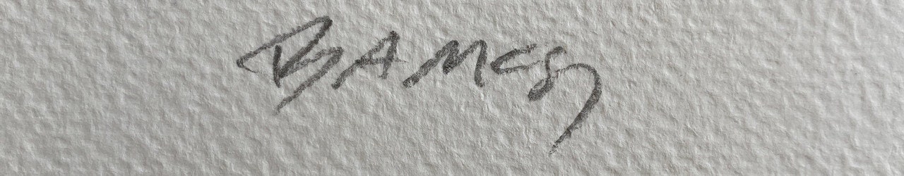 BANKSY Pencil Signed and Numbered Lithograph edition of 150 Banksy Art ...