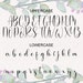 Annie Script Font, Calligraphy Font, Heart Font, Font With Tails ...