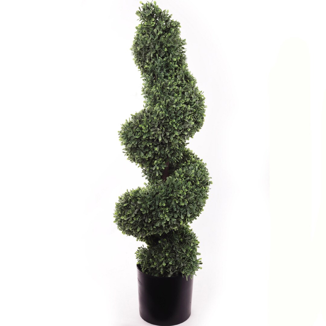 3ft Spiral Boxwood Topiary Tree in Black Planter Pot - Etsy