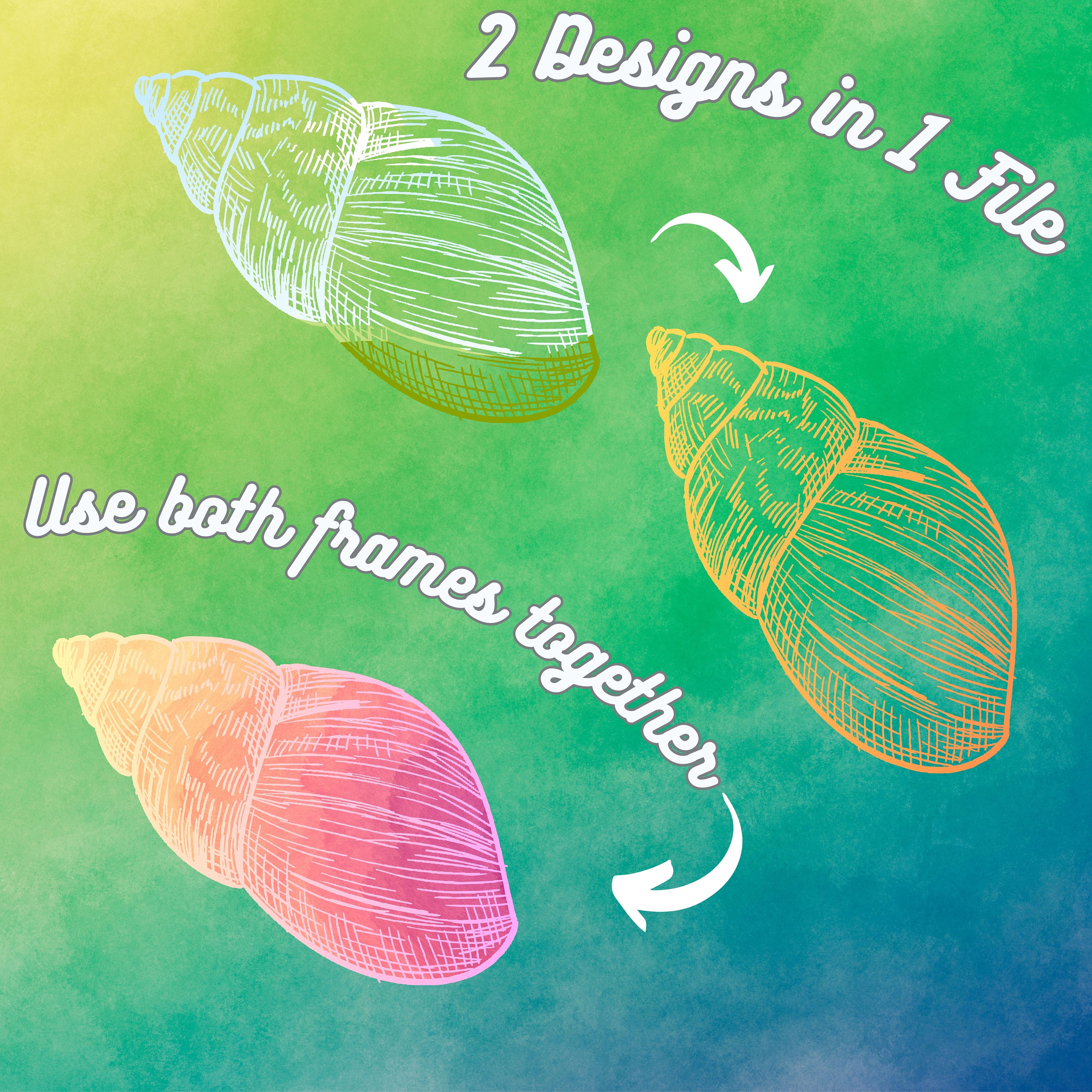 Nautical Sea Shells Canva Frame Set Sublimination-drag and Drop ...