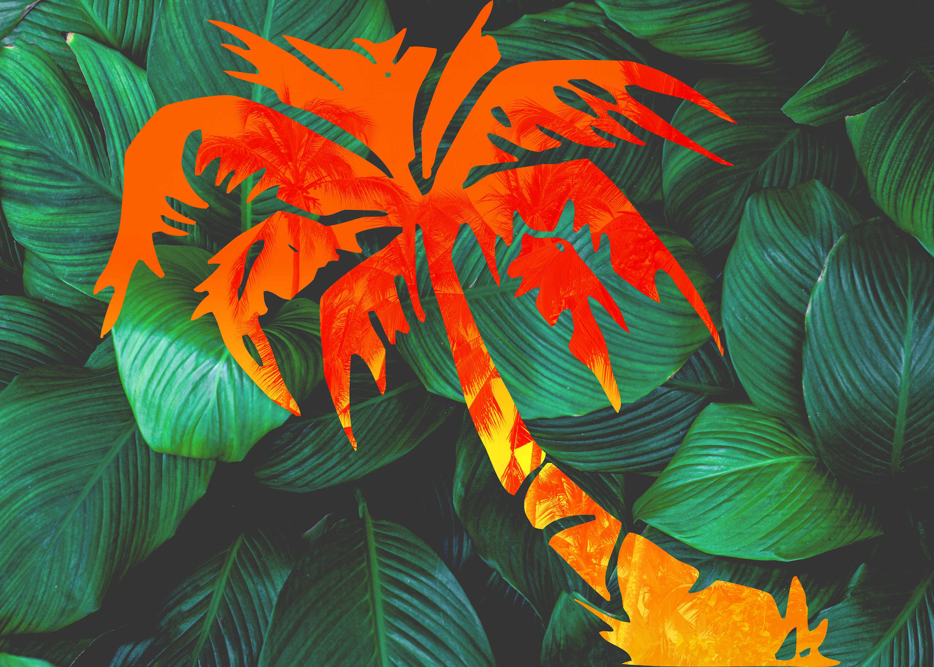 Tropical Palm Tree Canva Frame-canva Drag and Drop Canva Template Frame ...