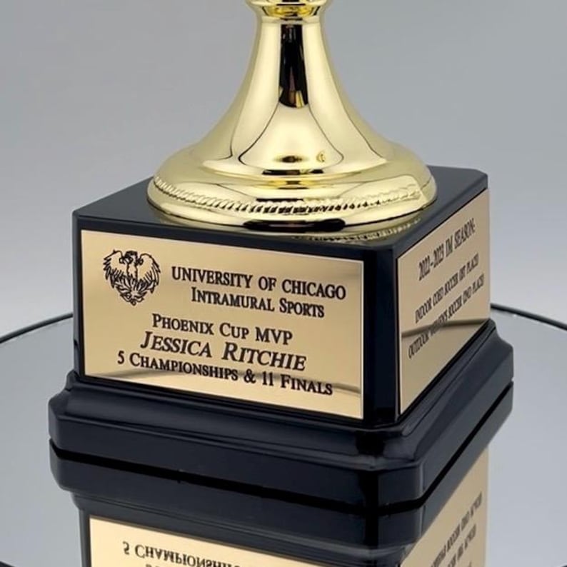 Gold Trophy Cup - Various Sizes - Drinkable Trophy Cup - Fantasy ...