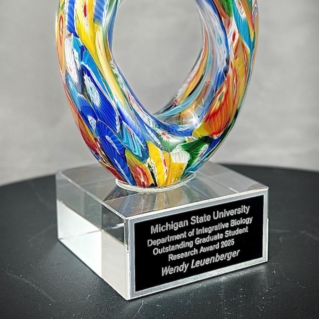 Glass Trophy, Multi Colored Art Glass Award, Corporate Award, Hand ...