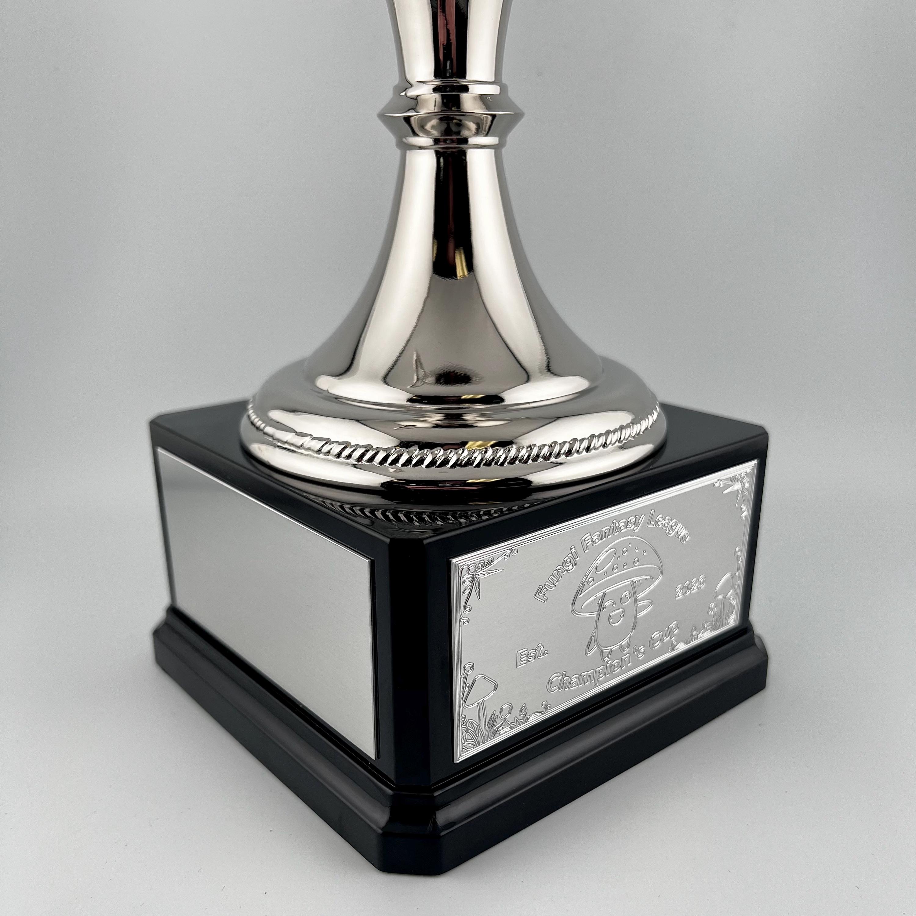 Silver Trophy Cup Various Sizes Drinkable Trophy Cup Fantasy Trophy Cup ...
