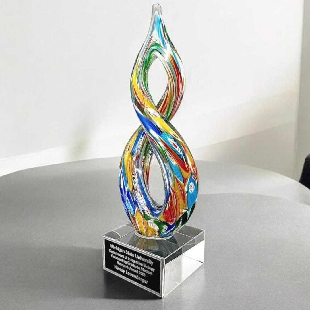 Helix Infinity Multi Colored Art Award - Artistic Glass Award With ...