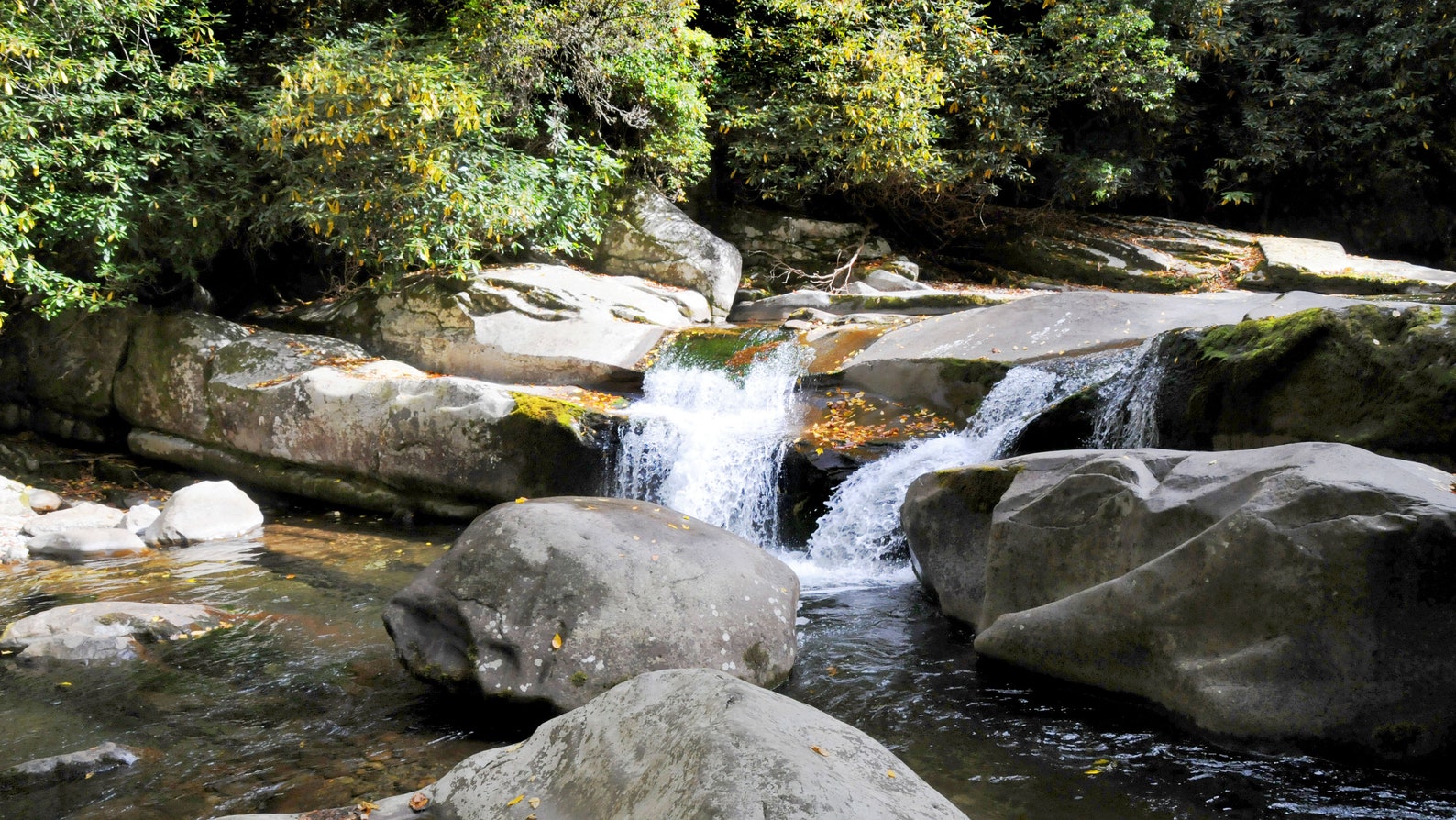 Mouse Creek Cascades Photograph - Etsy