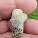 Nice Staurolite Twin Fairy Cross - Etsy