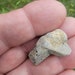 Nice Staurolite Twin Fairy Cross - Etsy