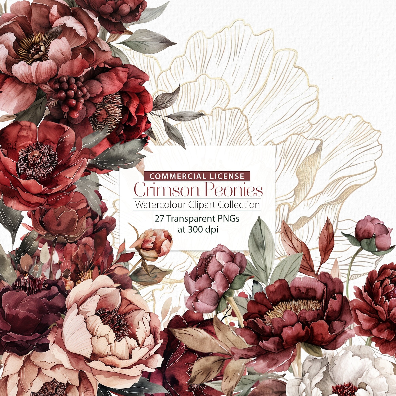 Blush and Burgundy Watercolor Floral Clipart, Blush, Gold, Wedding ...