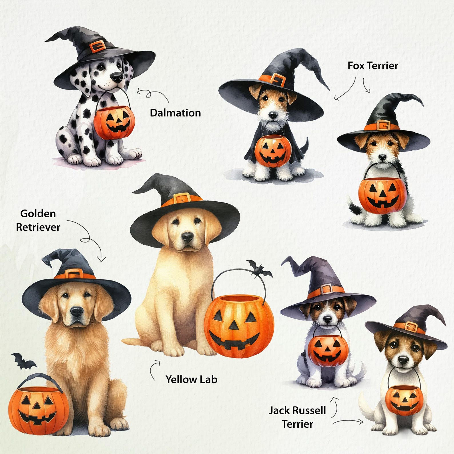Halloween Dog Breeds Clipart, Dog Halloween Bucket Png, Cute Halloween ...