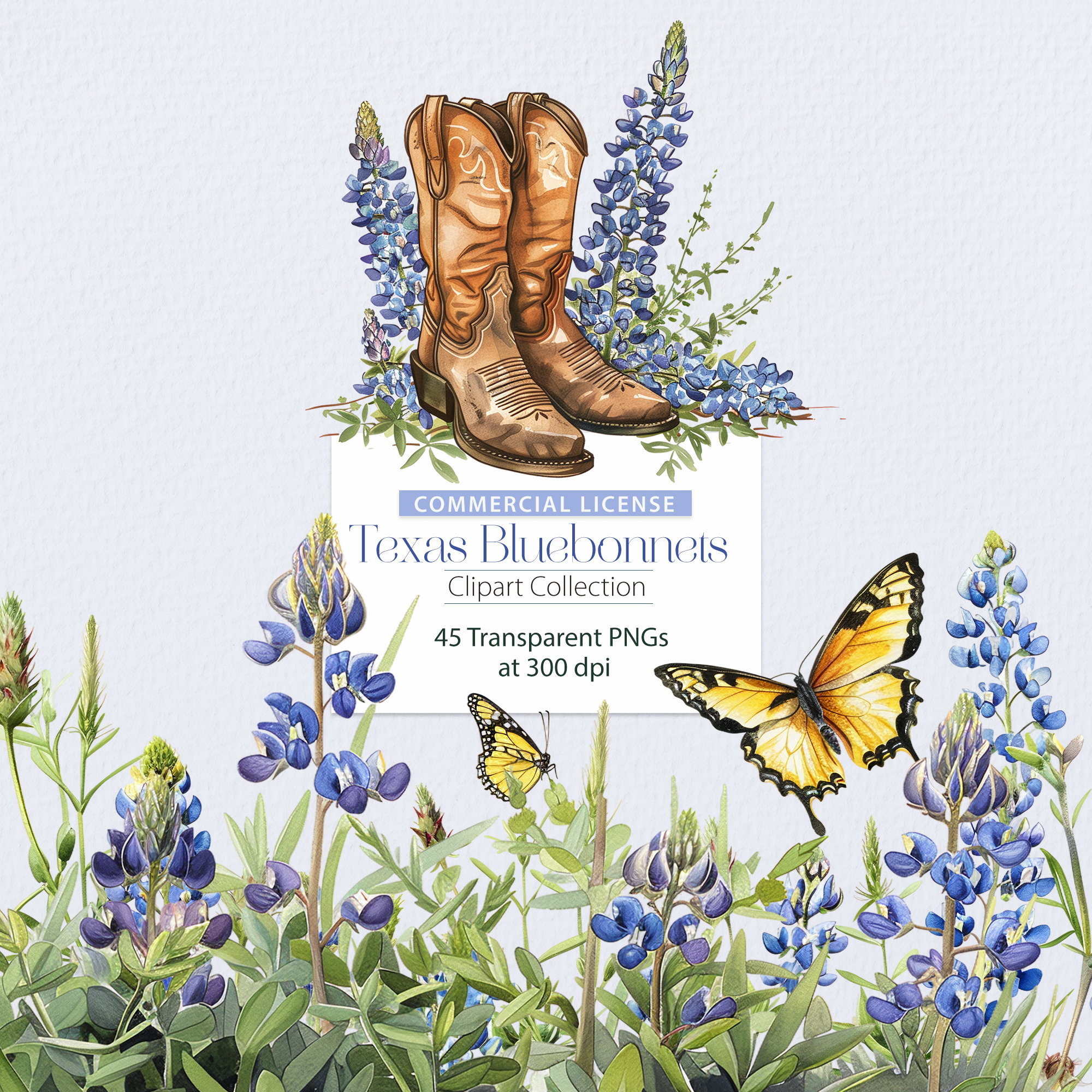 Texas State Flower, Bluebonnet Clipart, Texas Bluebonnet Png, Blue ...