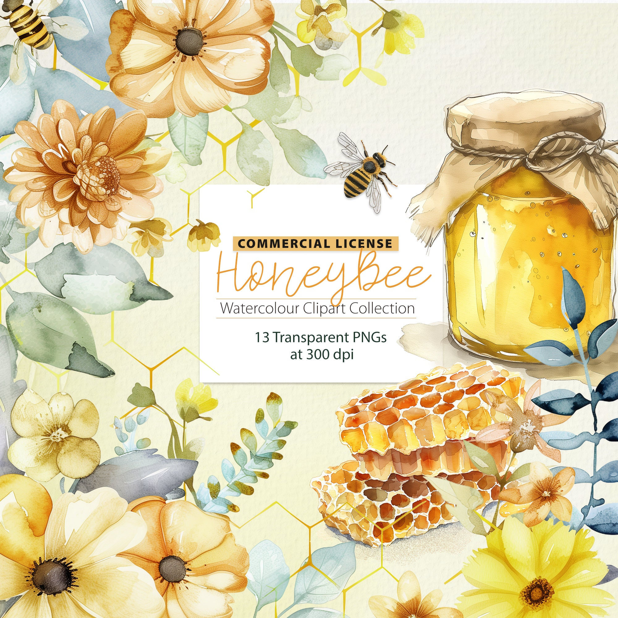 Honey Bee Watercolour Clipart Collection - Etsy