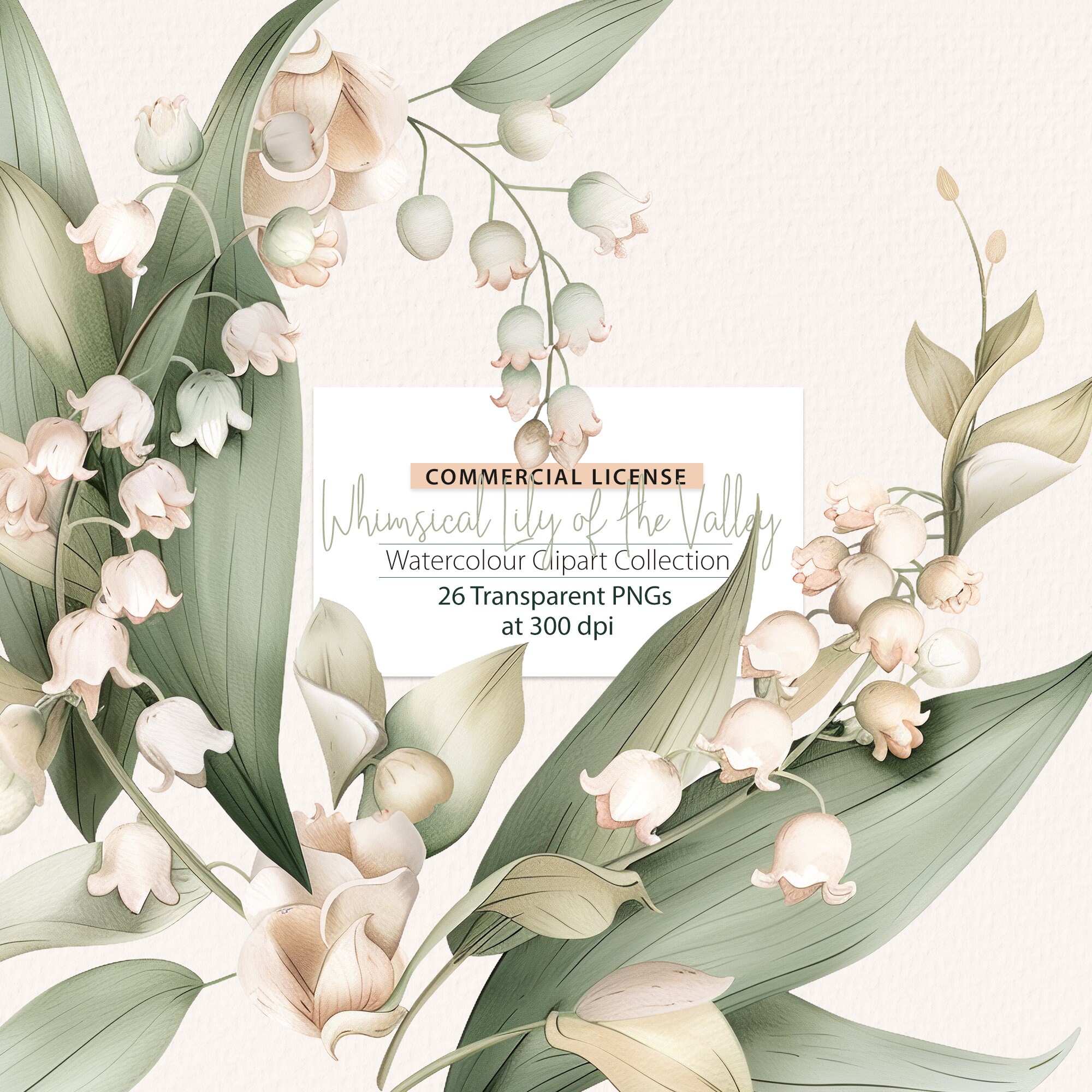 Lily-of-the-valley Clipart, Lily-of-the Valley Wedding, Lily-of-the ...