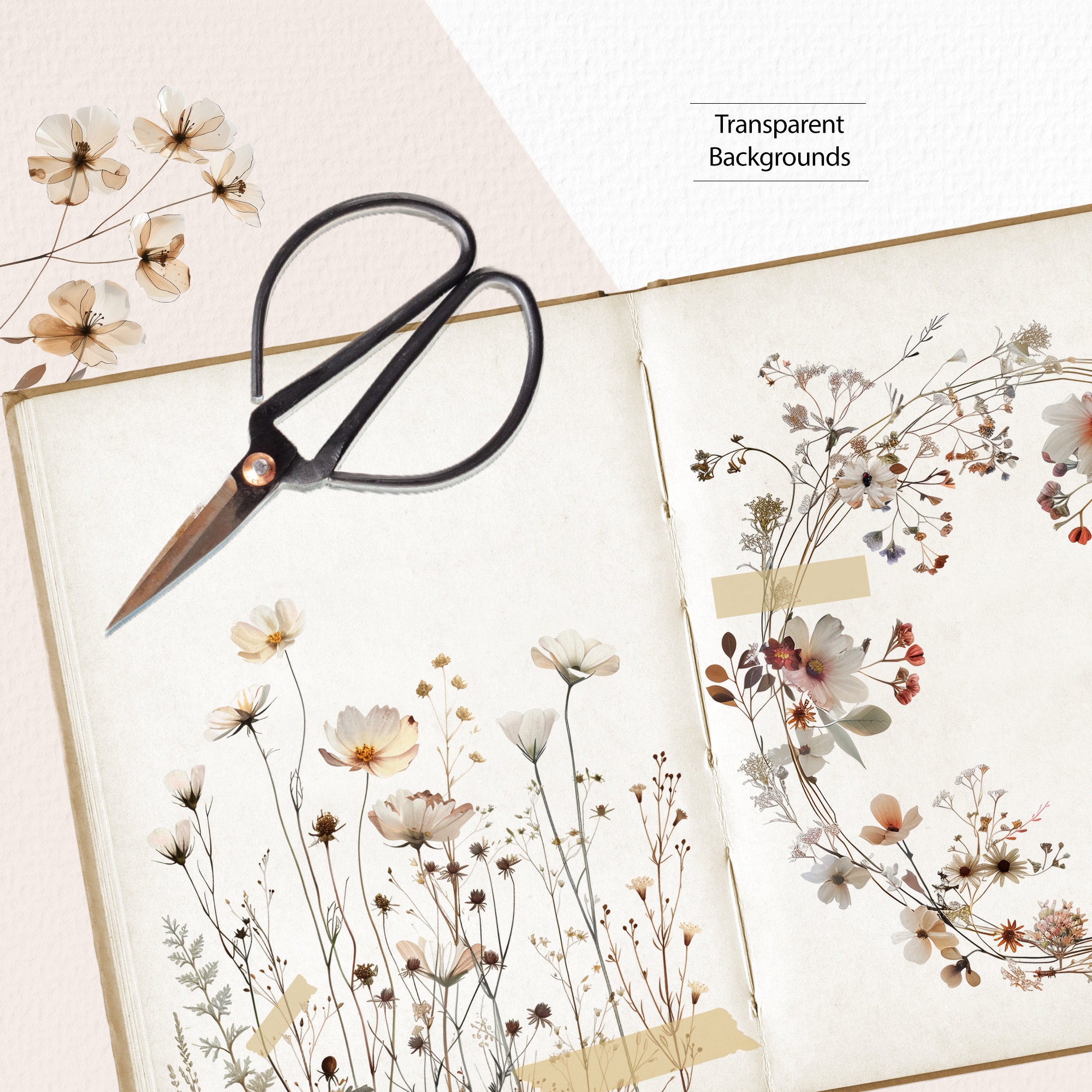 Pressed Flowers Clipart Collection - Etsy