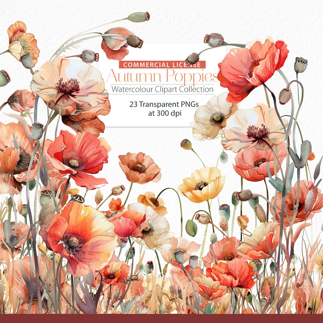 Autumn Poppies Watercolor Clipart Bundle, Terracotta Floral (digital ...