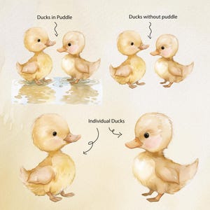 Baby Ducks in a Puddle Watercolour Clipart, Baby Animals, Baby Shower ...