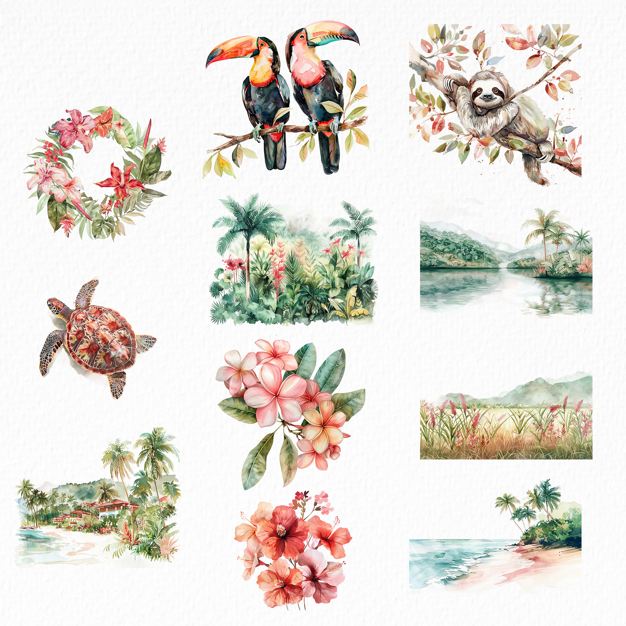 Costa Rica Clipart, Watercolor Tropical Flowers and Leaves Clipart ...
