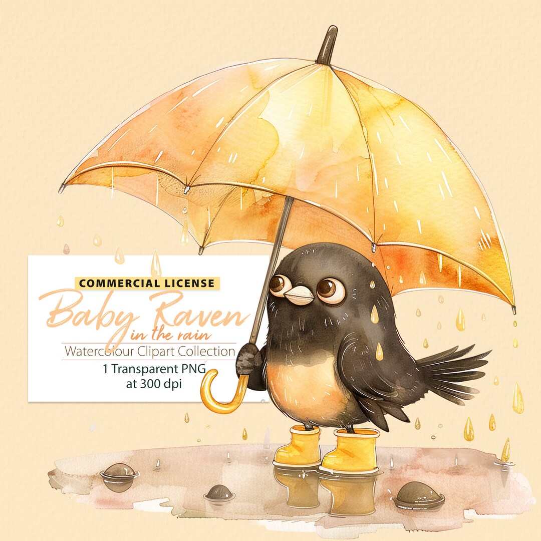 Baby Raven in the Rain - Watercolour Clipart Single - Etsy