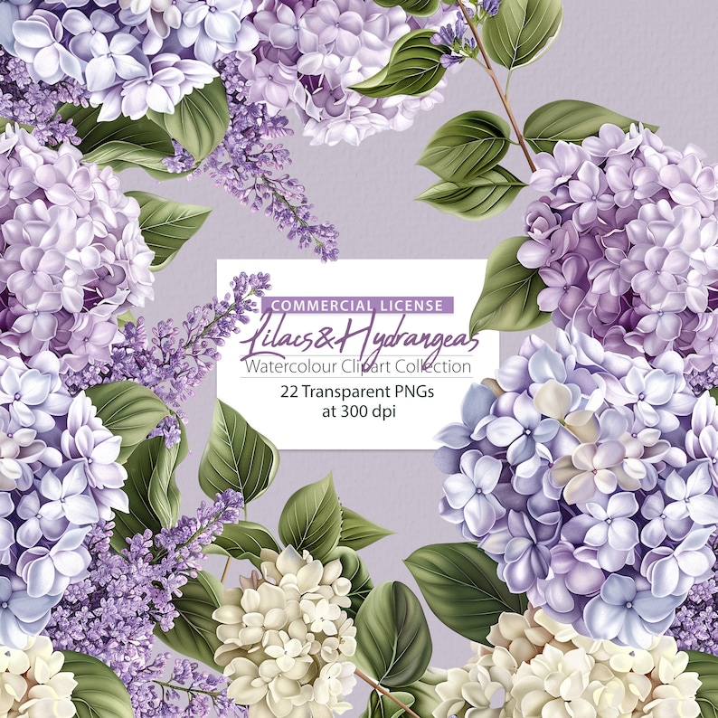 Lilac and Hydrangea Watercolour Clipart Collection - Etsy