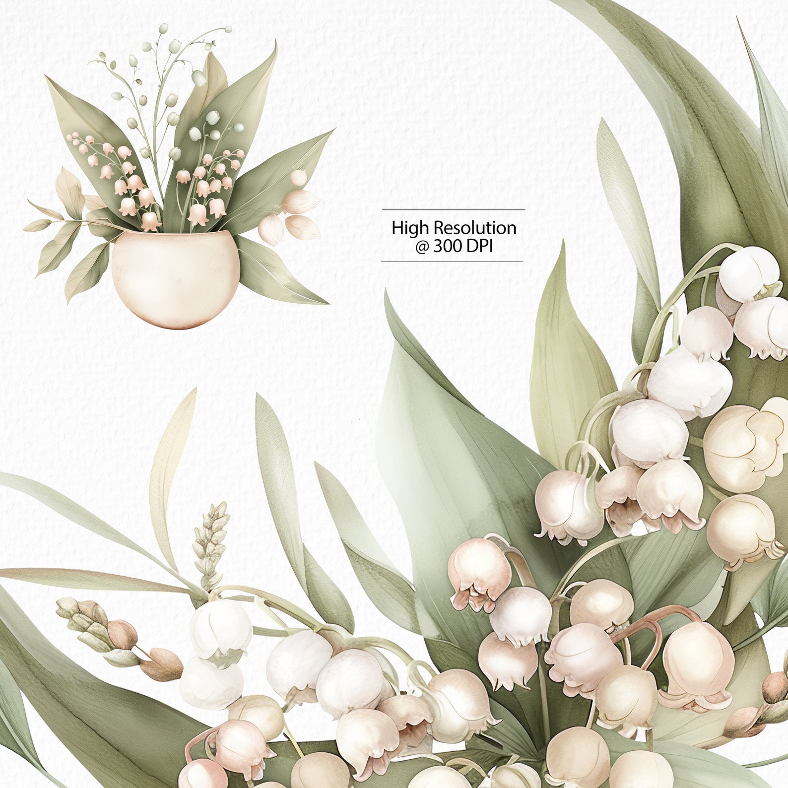 Lily-of-the-valley Clipart, Lily-of-the Valley Wedding, Lily-of-the ...