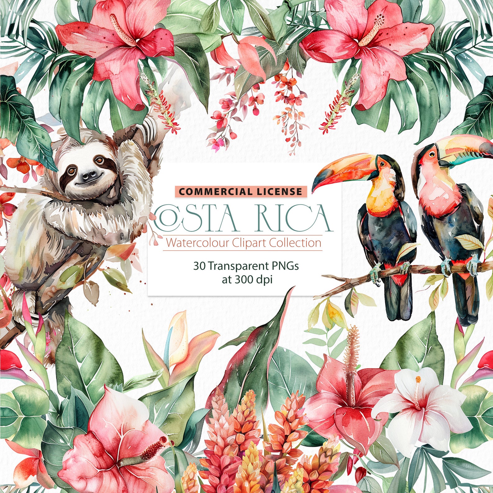 Costa Rica Clipart, Watercolor Tropical Flowers and Leaves Clipart ...