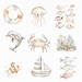 Under the Sea Watercolor Clipart, Nautical Clipart, Sea Animals ...