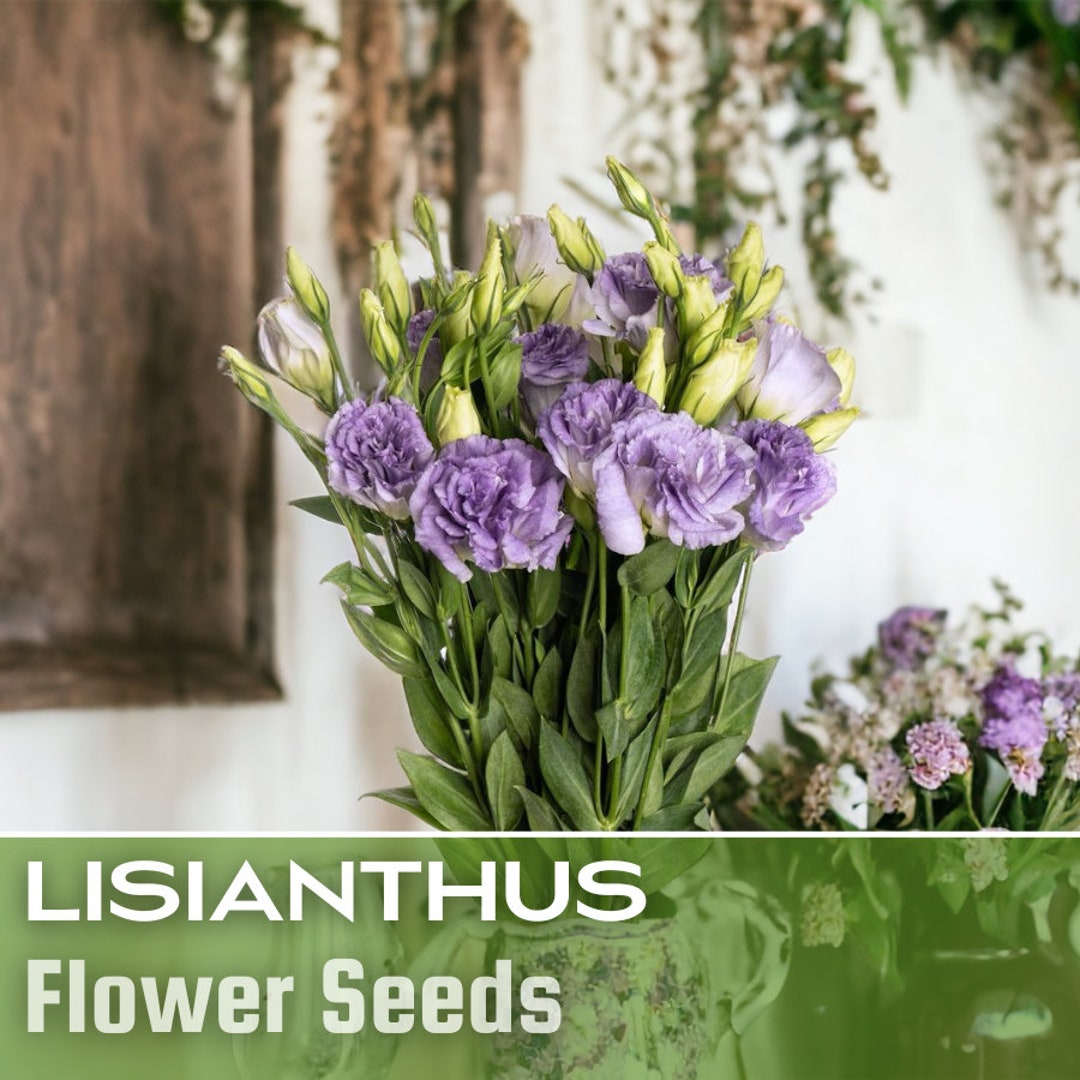 140 Lisianthus Seeds Misty Blue Flower Seeds, Heirloom Seeds, Non Gmo ...
