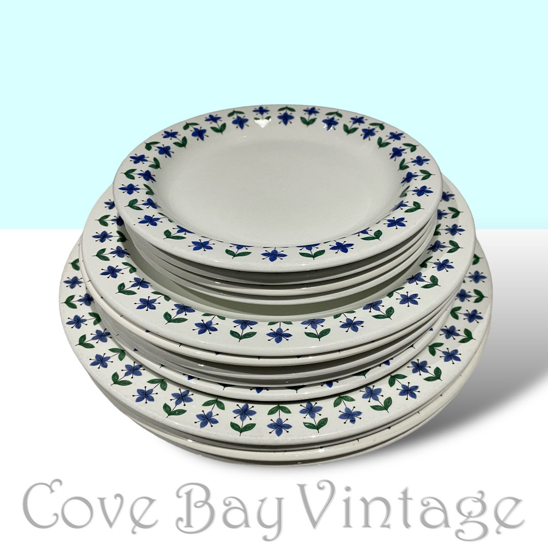 Midwinter Roselle Dinnerware 1960's Set of 12 Plates - Etsy