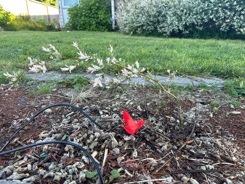 Songbird Dripper - Spruce up Your Irrigation With These Bird Fountain ...