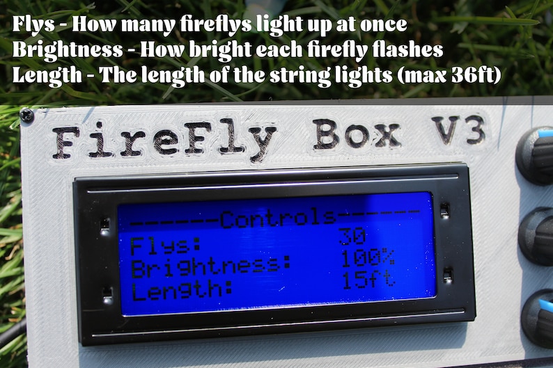 Realistic Firefly Lights: Firefly Box String Lights - Etsy