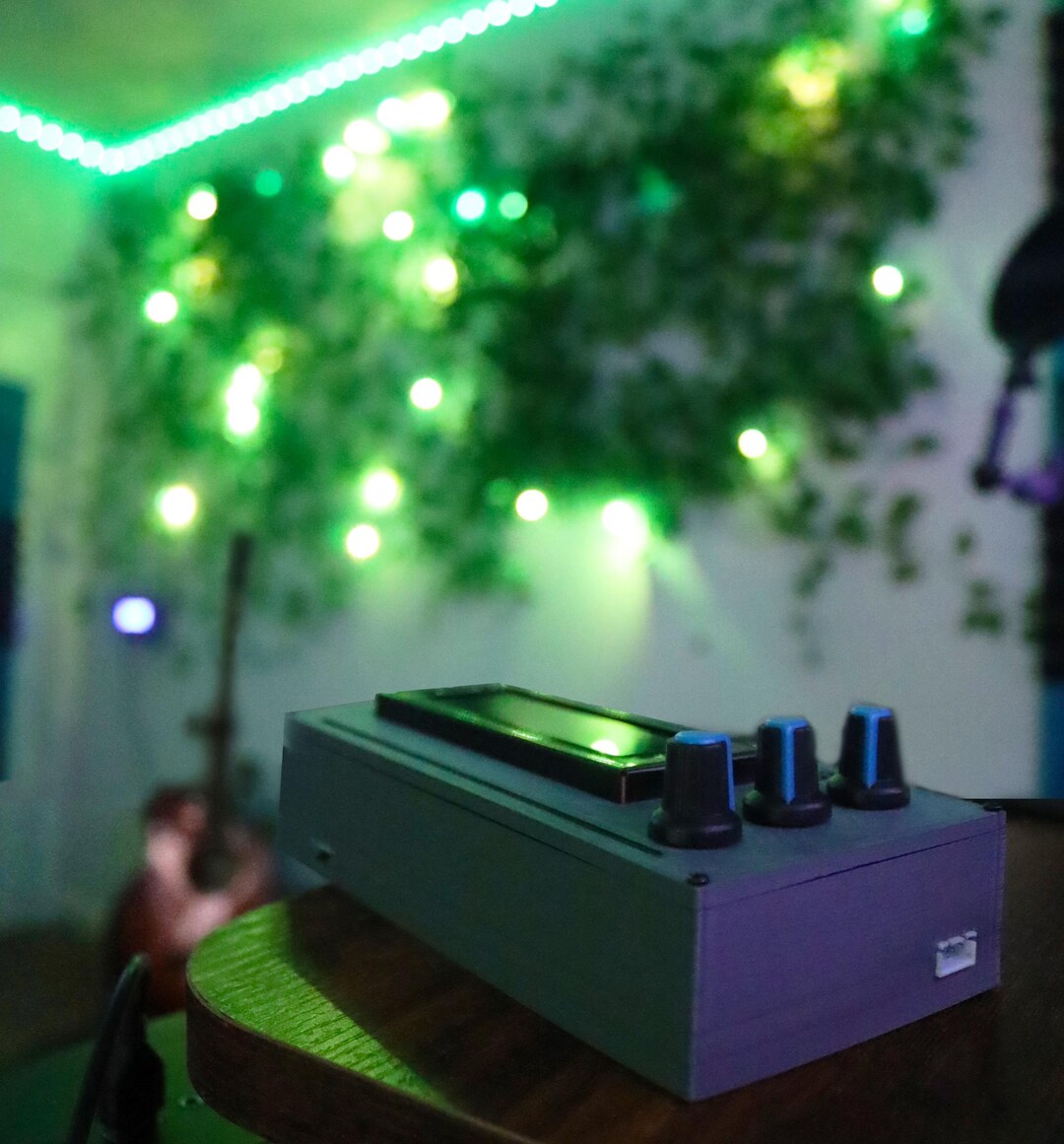 Realistic Firefly Lights: Firefly Box String Lights - Etsy