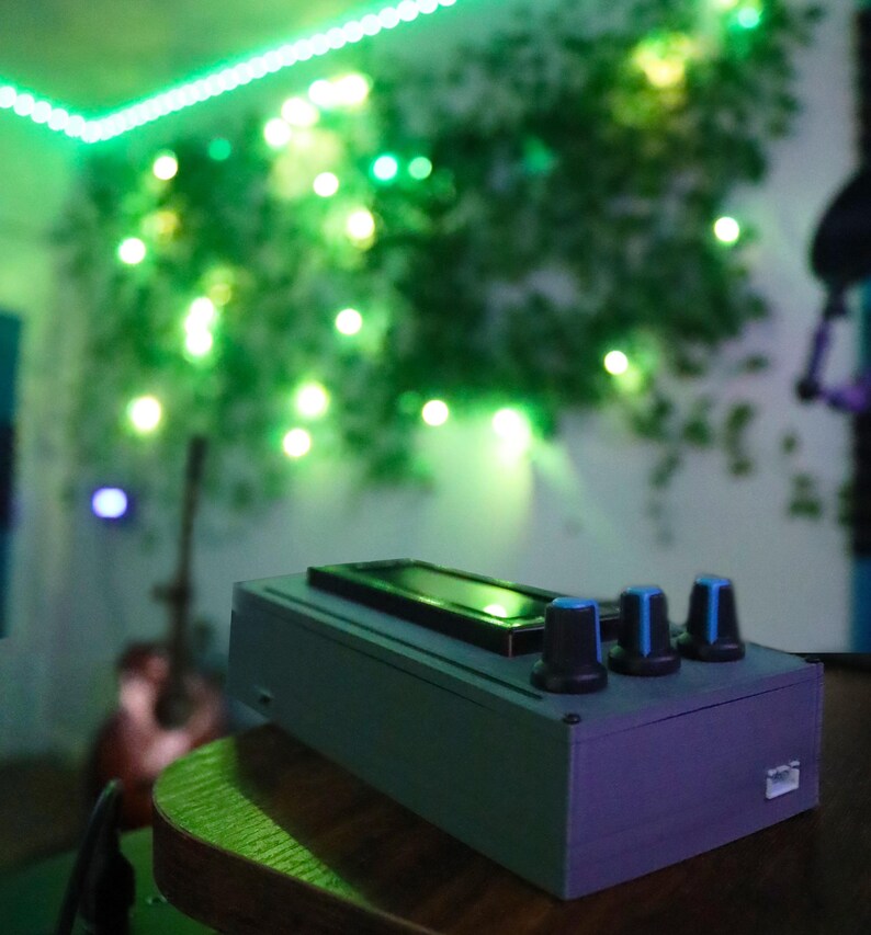 Realistic Firefly Lights: Firefly Box String Lights - Etsy