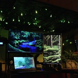 Realistic Firefly Lights: Firefly Box String Lights - Etsy