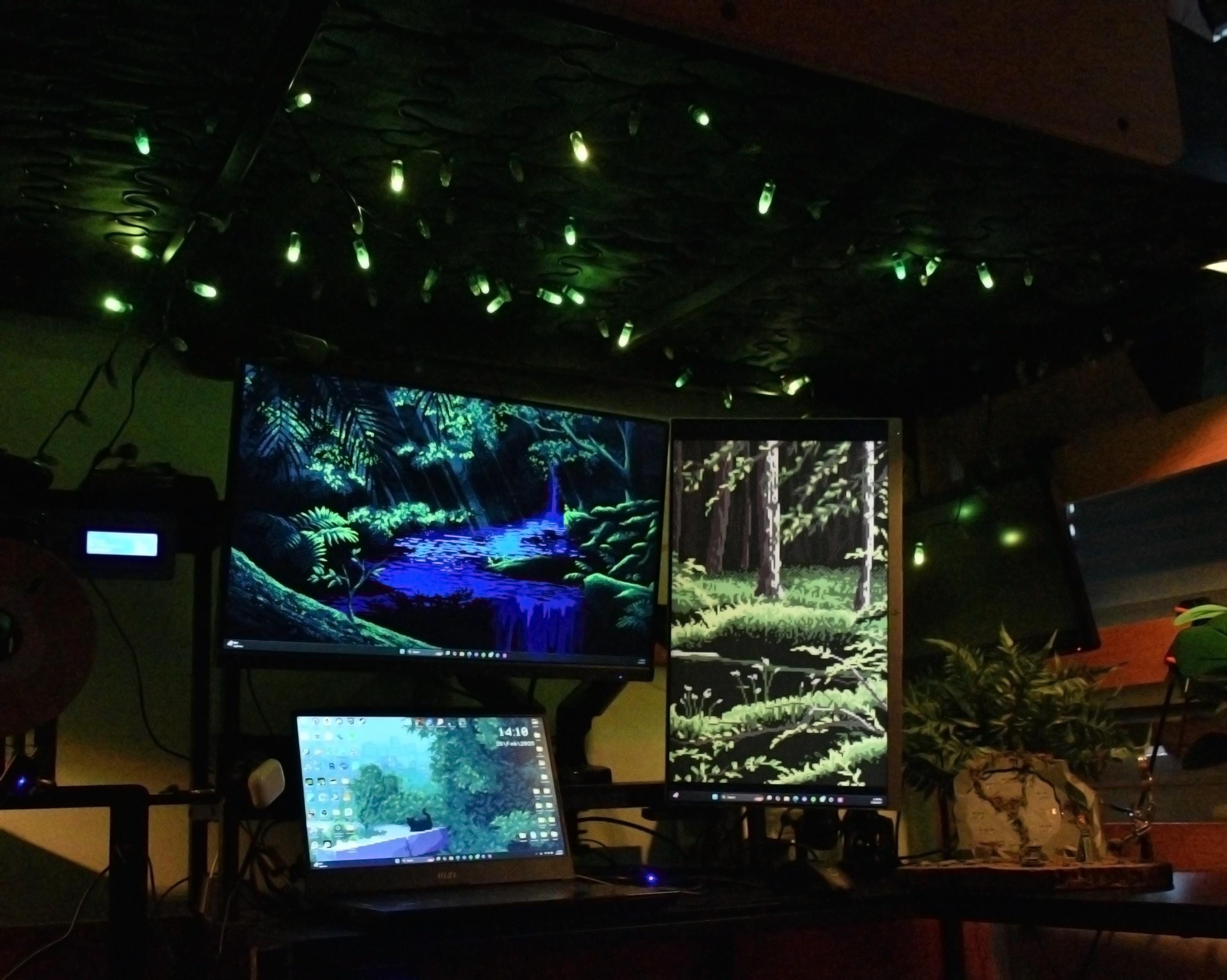 Realistic Firefly Lights: Firefly Box String Lights - Etsy