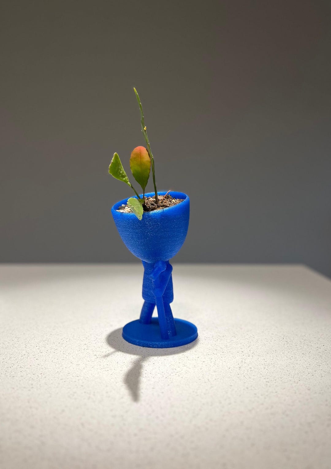 Superstar Robert Plant Pot - Etsy