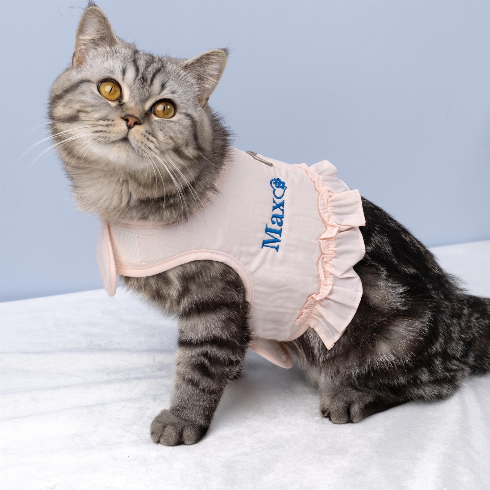 Personalized Cotton Pet Harness With Leash, Embroidered Name Lace Vest ...