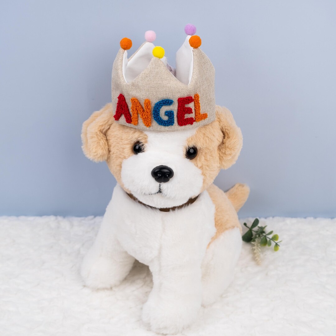 Dog Birthday Crown Personalized Pet Birthday Crown Embroidered Name ...